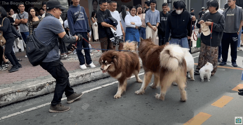 Session Road Walking Tour August 24, 2025 - The Baguio Channel